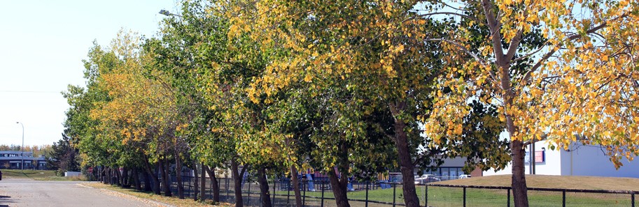 Town of Valleyview – Portal to the Peace