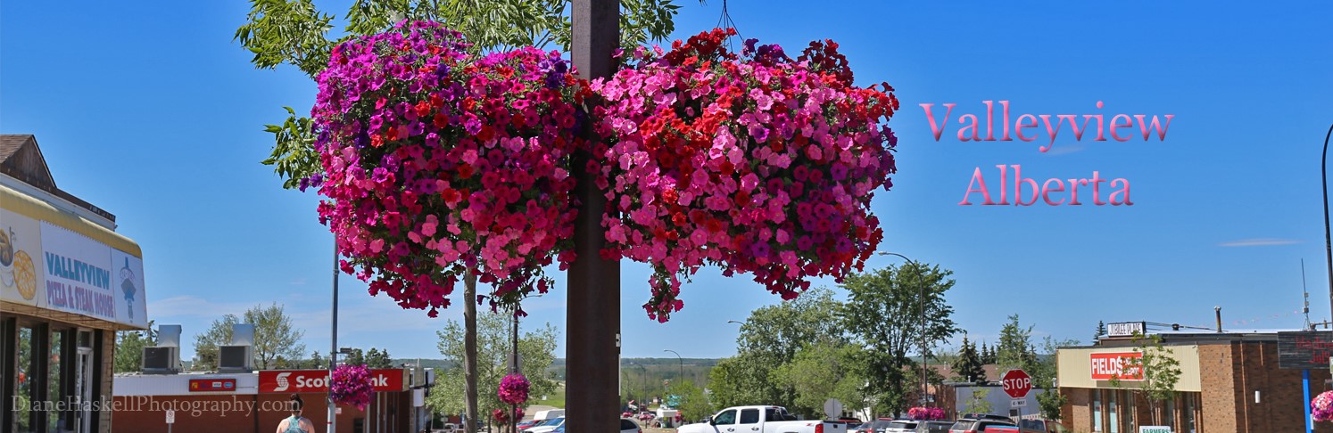 Town of Valleyview – Portal to the Peace