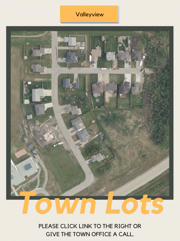Development & Planning - Town of Valleyview